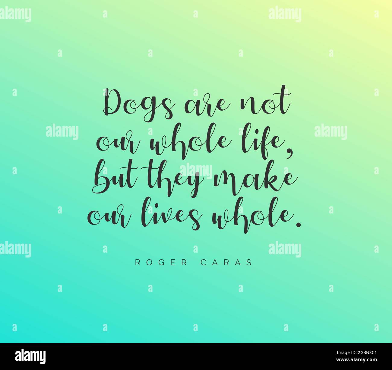 Citation de motivation inspirante - les chiens ne sont pas toute notre ... Citation de motivation inspirante - les chiens ne sont pas toute notre ...