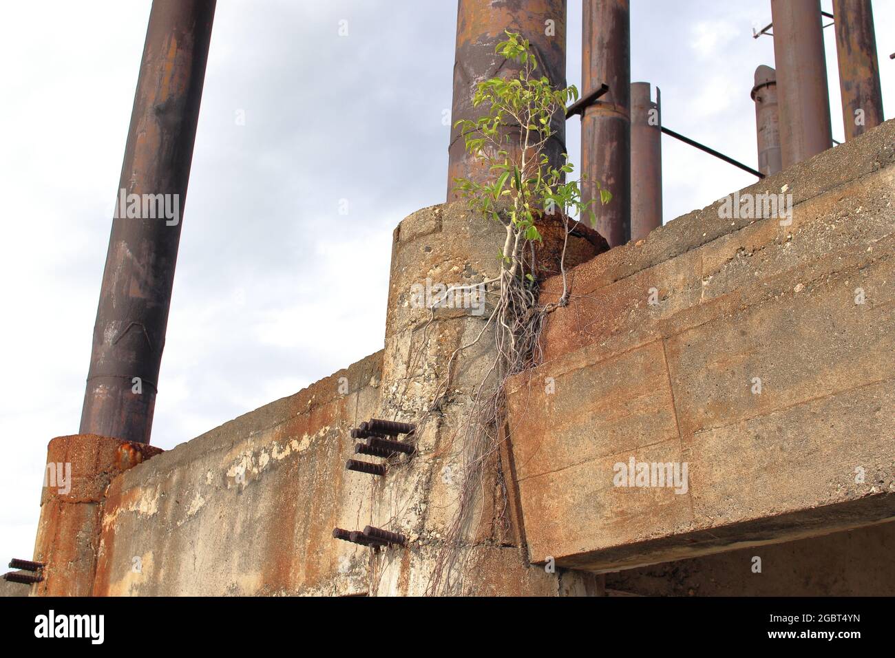 Poutre en béton préfabriqué Banque de photographies et d’images à haute ...