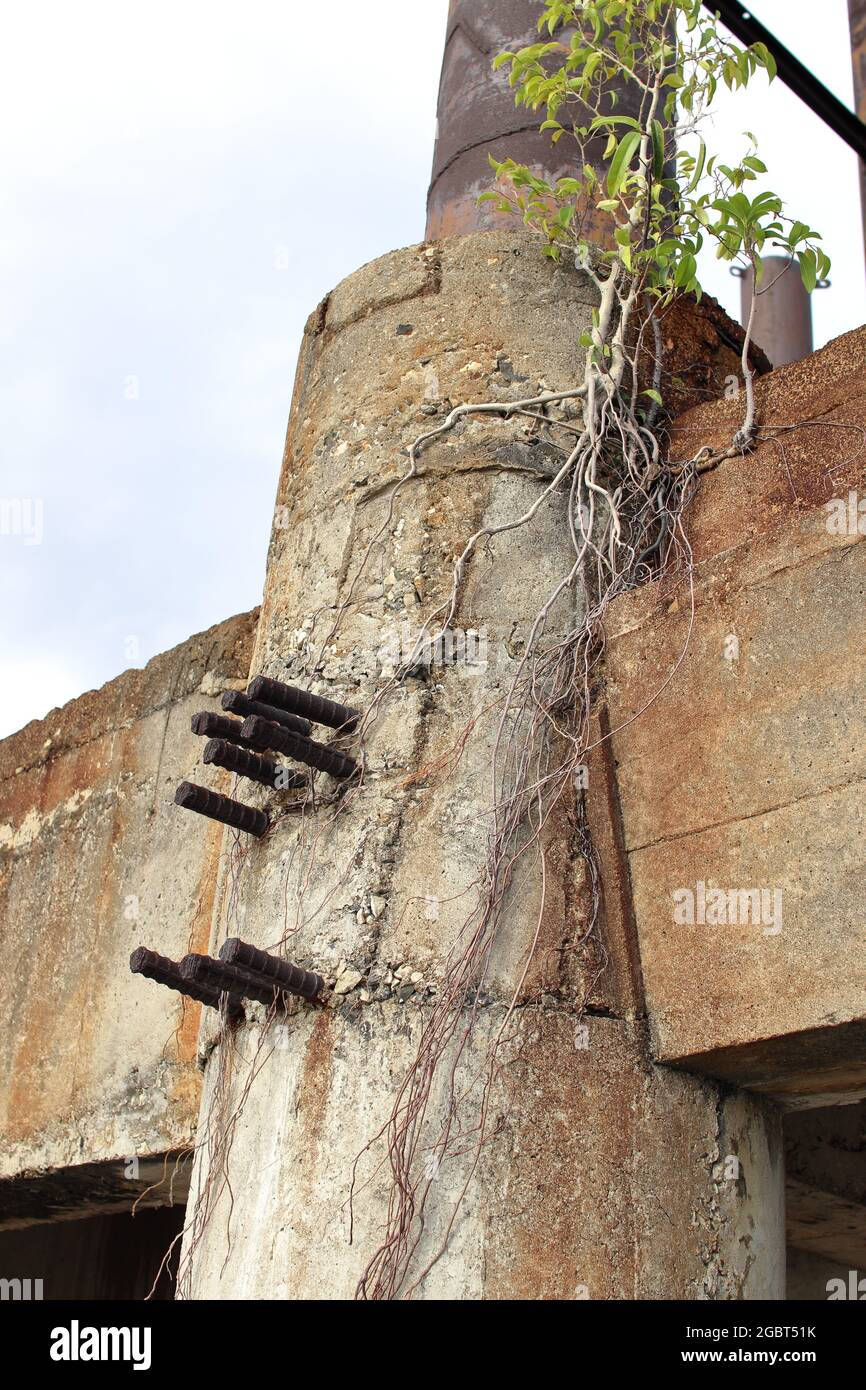 Poutre en béton préfabriqué Banque de photographies et d’images à haute ...