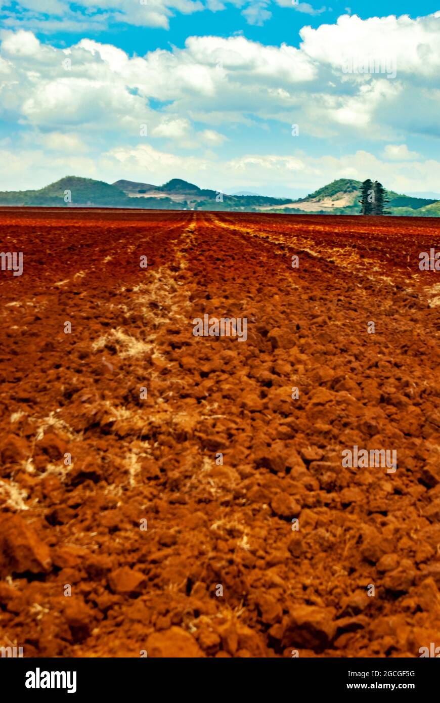 Champs de sol Banque de photographies et d’images à haute résolution ...