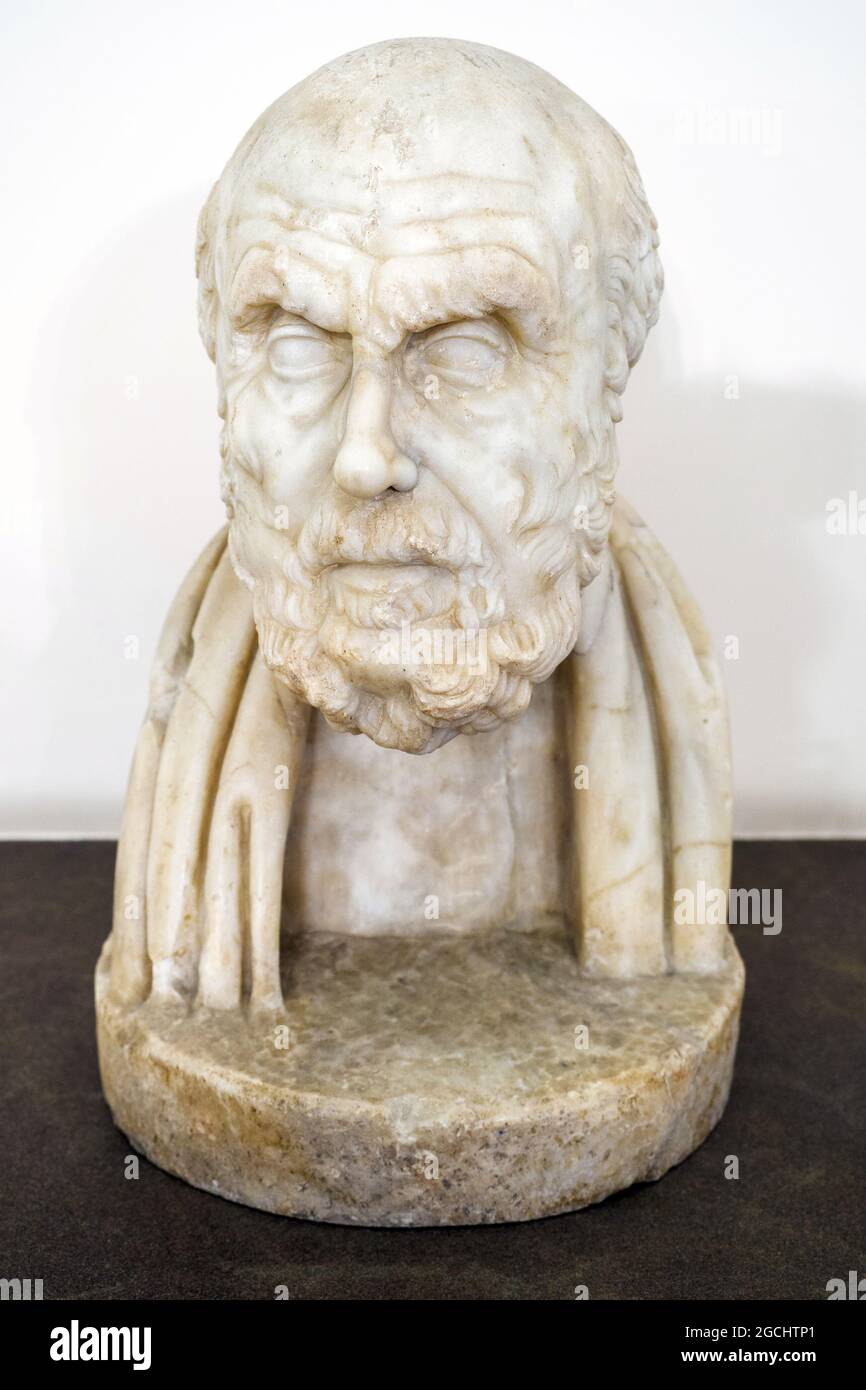 Chrysippus de soli Banque de photographies et d’images à haute ...