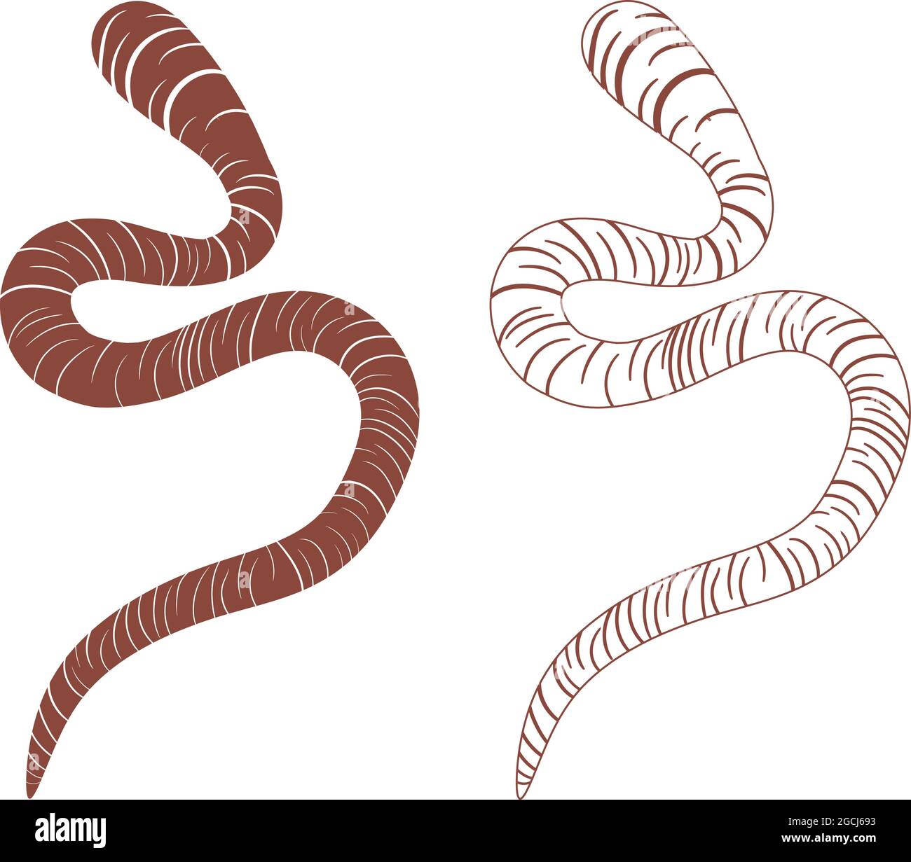 Earthworm ou Lumbricina Vector Illustration remplissage et contour ...