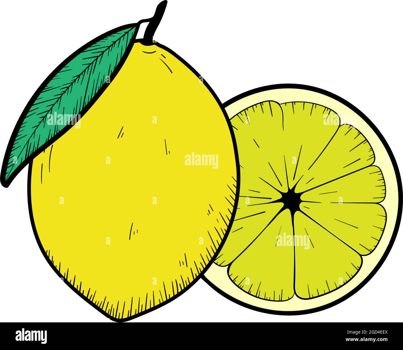Fruit drawing sketch clipart Banque de photographies et d’images à ...
