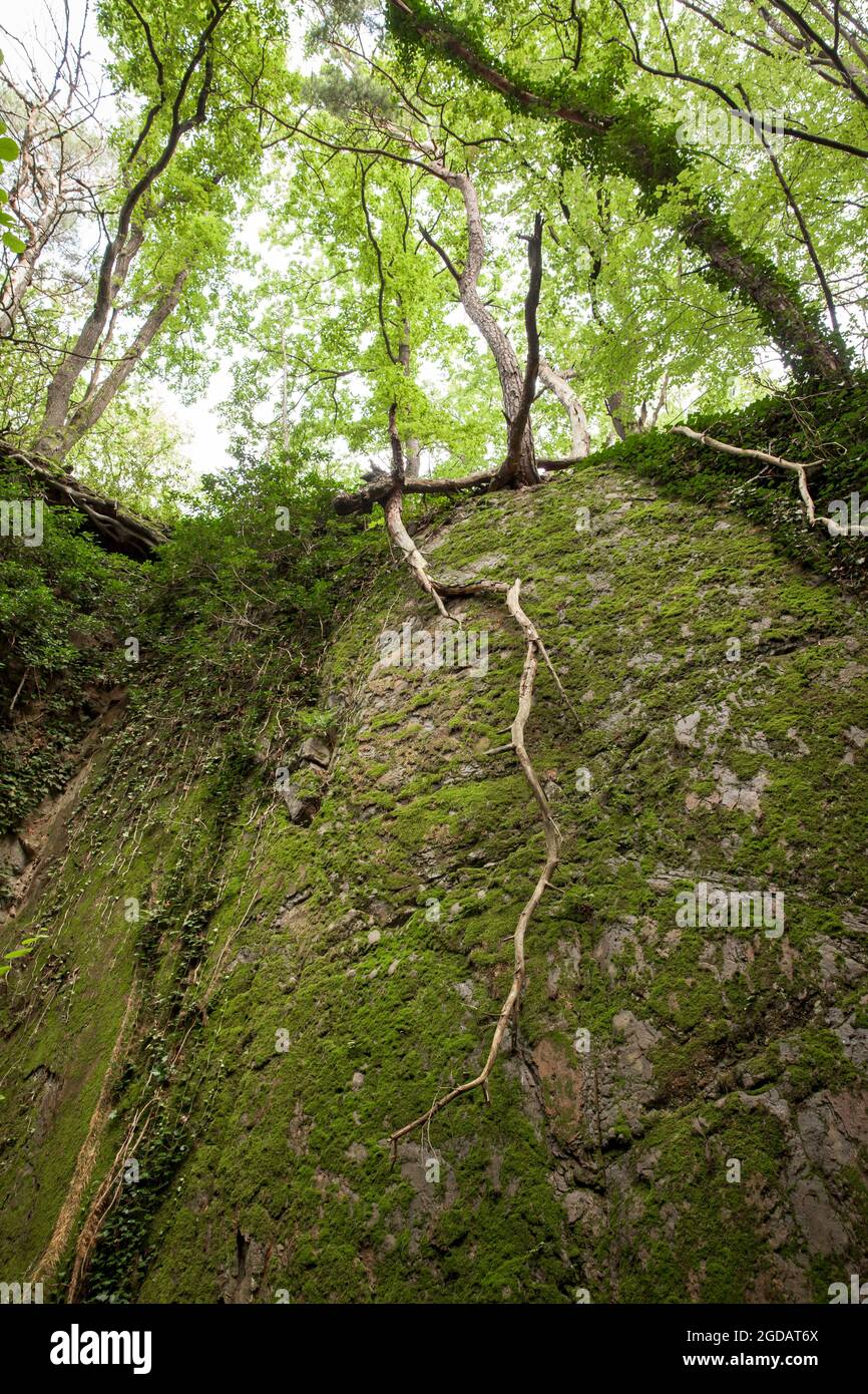 Quartz latite Banque de photographies et d’images à haute résolution ...