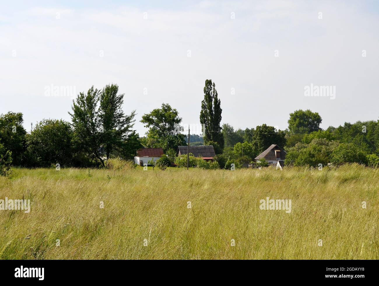 Magnifique horizon paysage dans le village prairie sur fond naturel ...