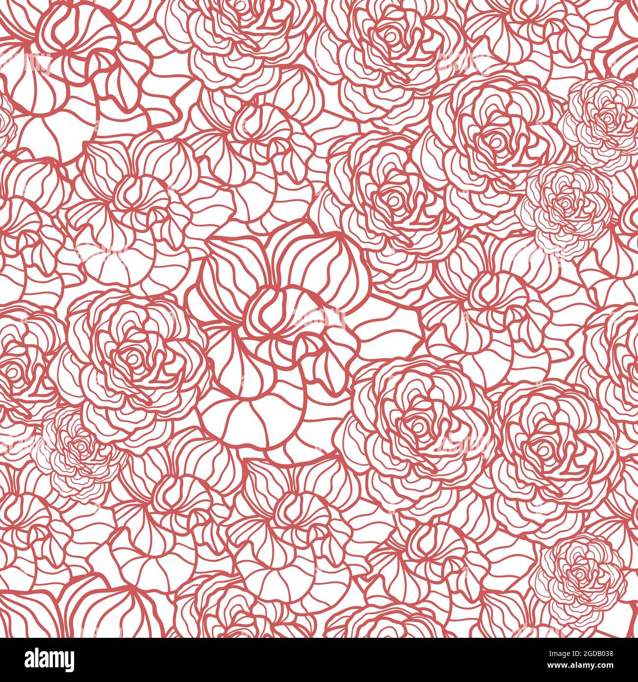 Differentes types de roses Banque d'images vectorielles - Alamy