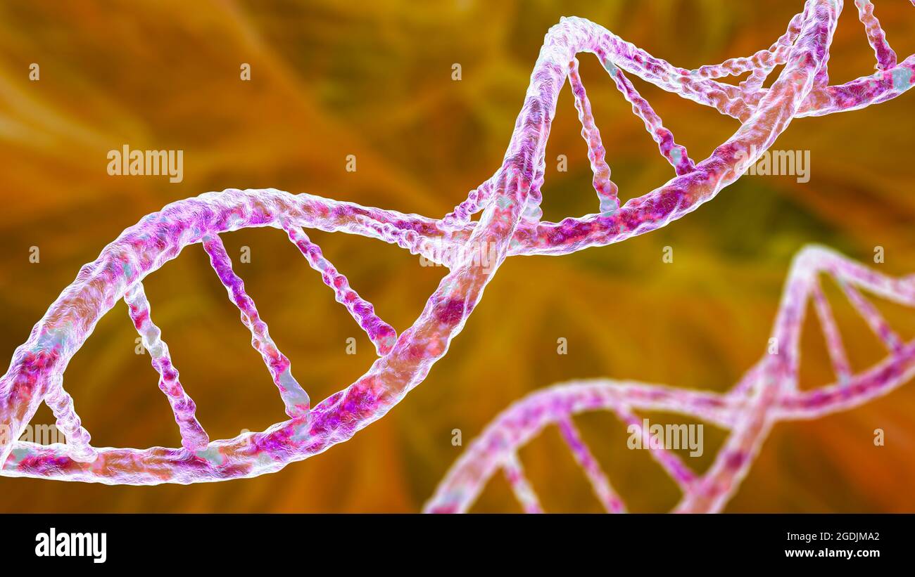 Syndrome de marfan Banque de photographies et d’images à haute ...