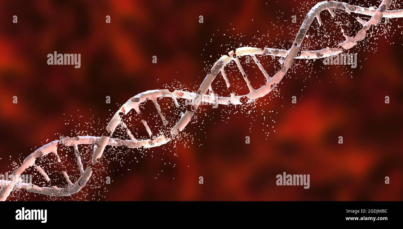 Dna damage Banque de photographies et d’images à haute résolution - Alamy
