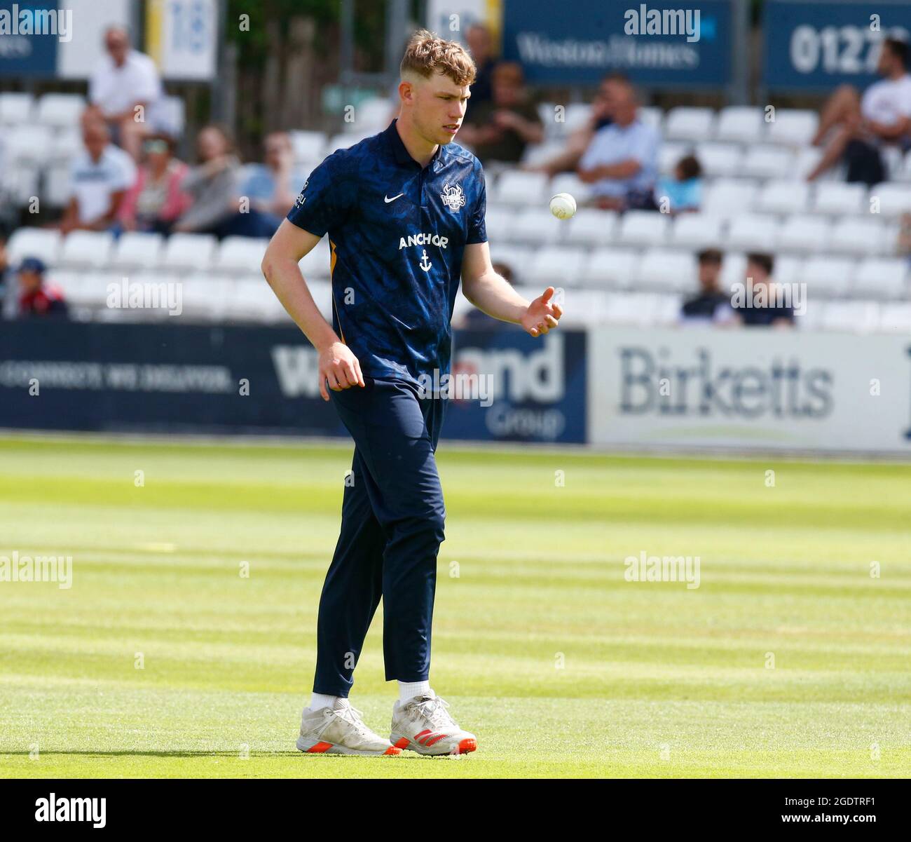 T ccc Banque de photographies et d’images à haute résolution - Alamy