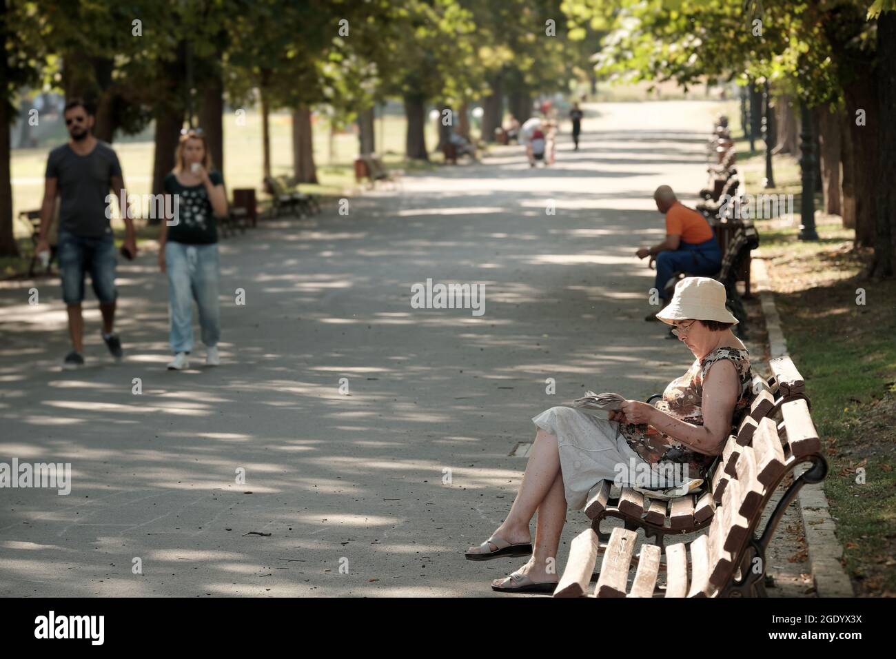 Vieilles Personnes Assises Sur Un Banc Banque De Photographies Et D