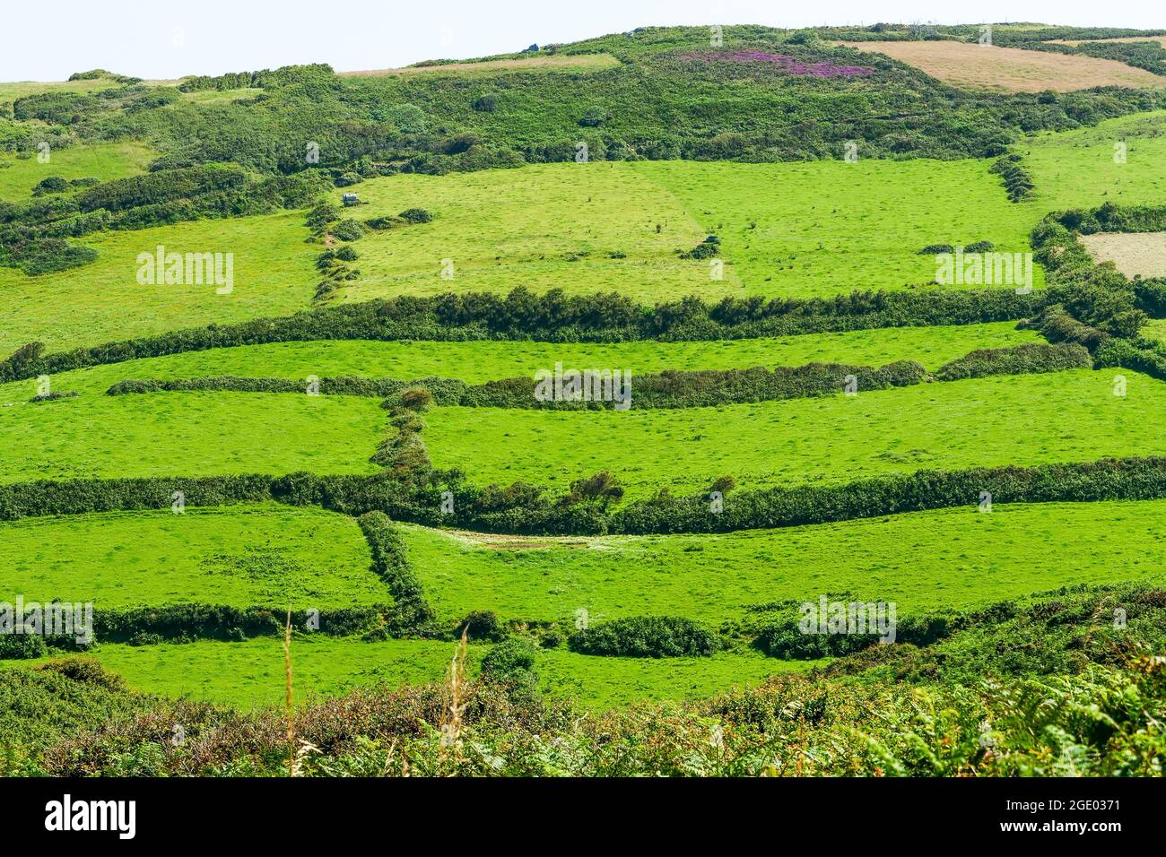 Cotentin bocage Banque de photographies et d’images à haute résolution ...