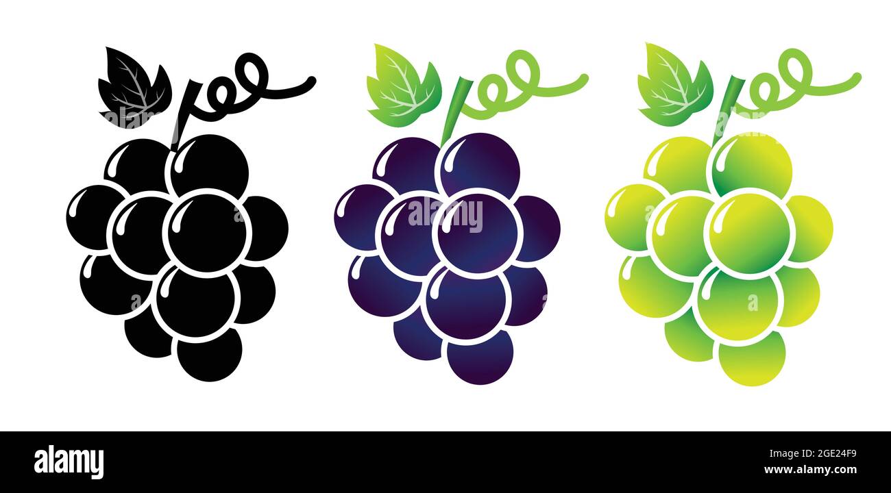 Raisin grappe Banque d'images vectorielles - Alamy