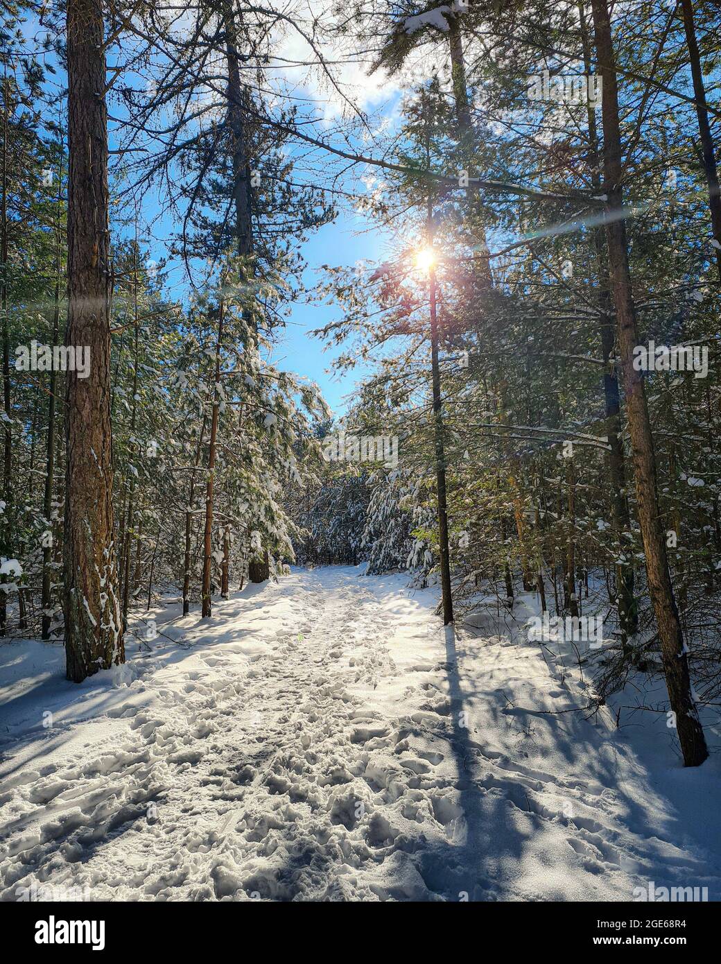 Une promenade dans la nature Banque de photographies et d’images à ...