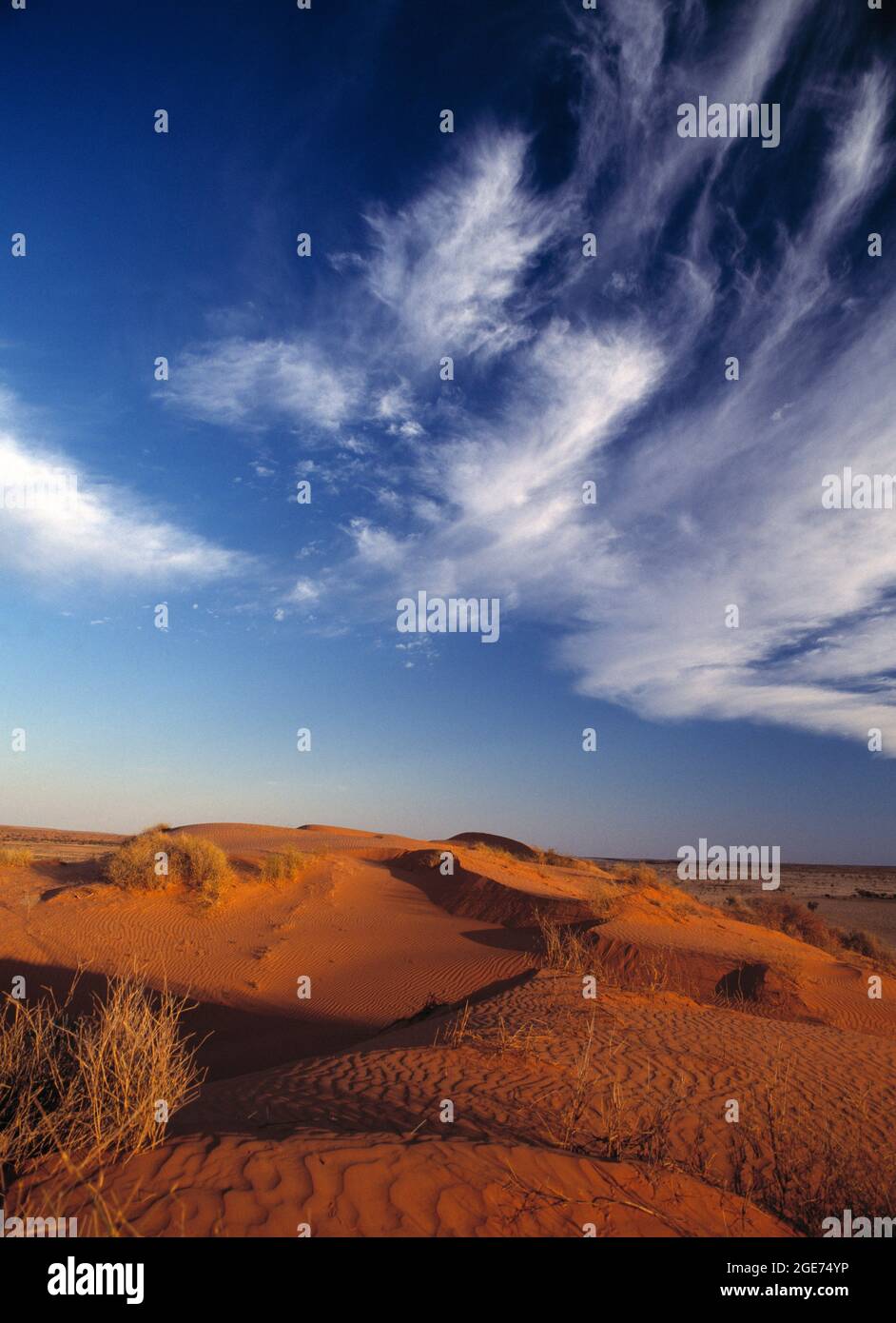 Simpson desert australia Banque de photographies et d’images à haute ...