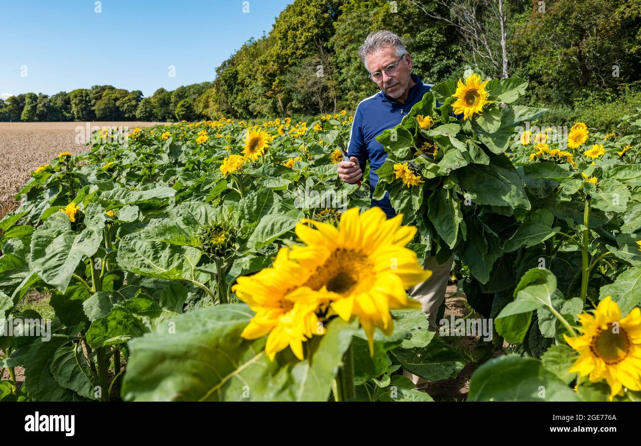 Stewart maxwell Banque de photographies et d’images à haute résolution ...