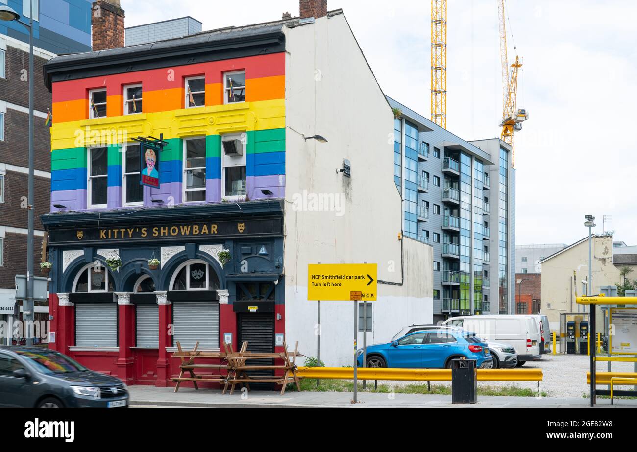 Showbar de chatons Banque de photographies et d’images à haute ...
