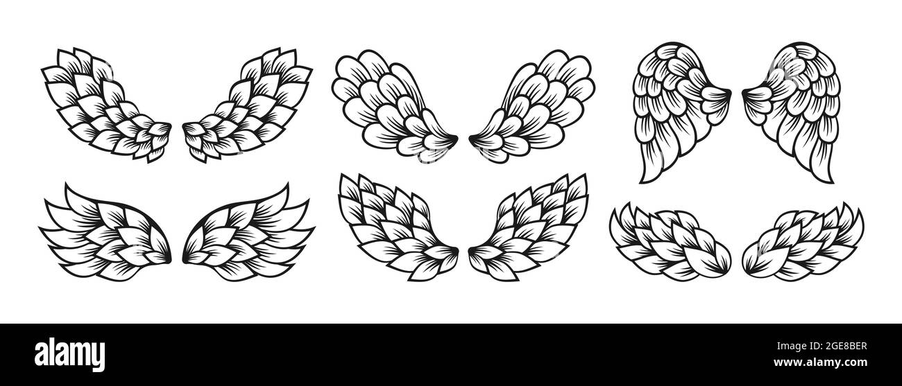 L'icône des ailes enforme un ensemble d'esquisses. Éléments de ...