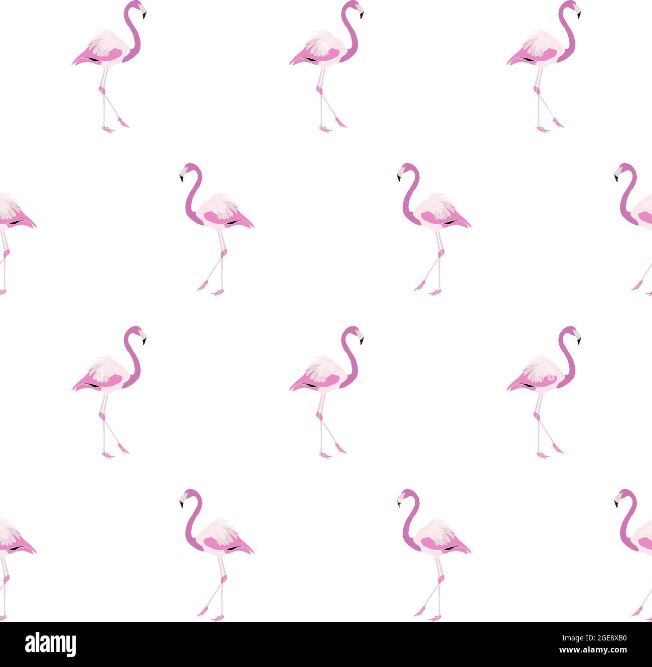 Flamingo pattern Banque de photographies et d’images à haute résolution ...