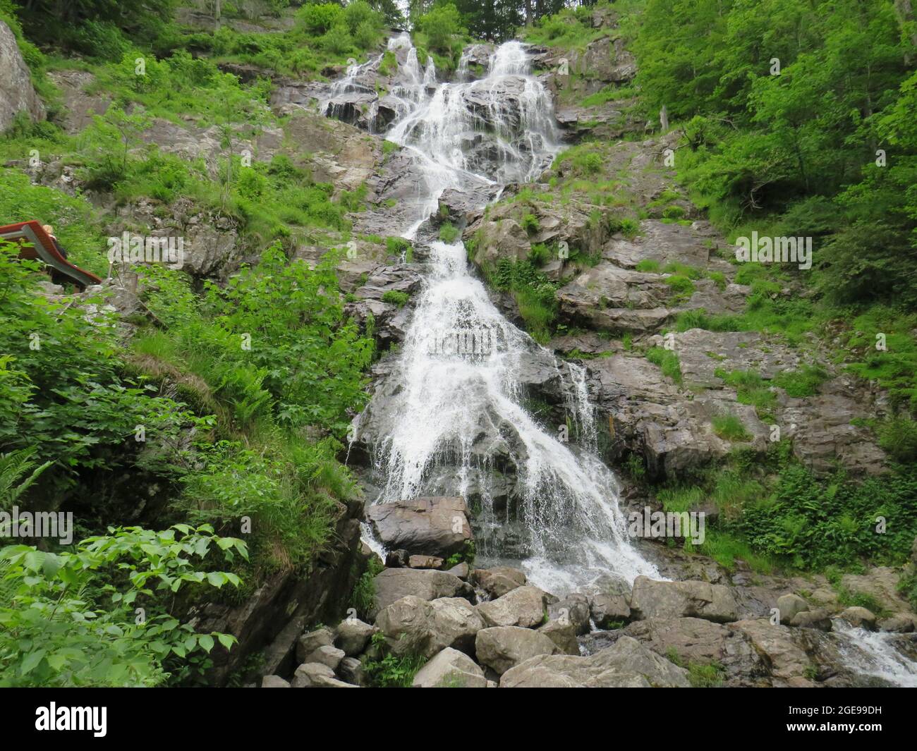 Vue sur la célèbre cascade de Todtnauer qui coule dans la forêt ...