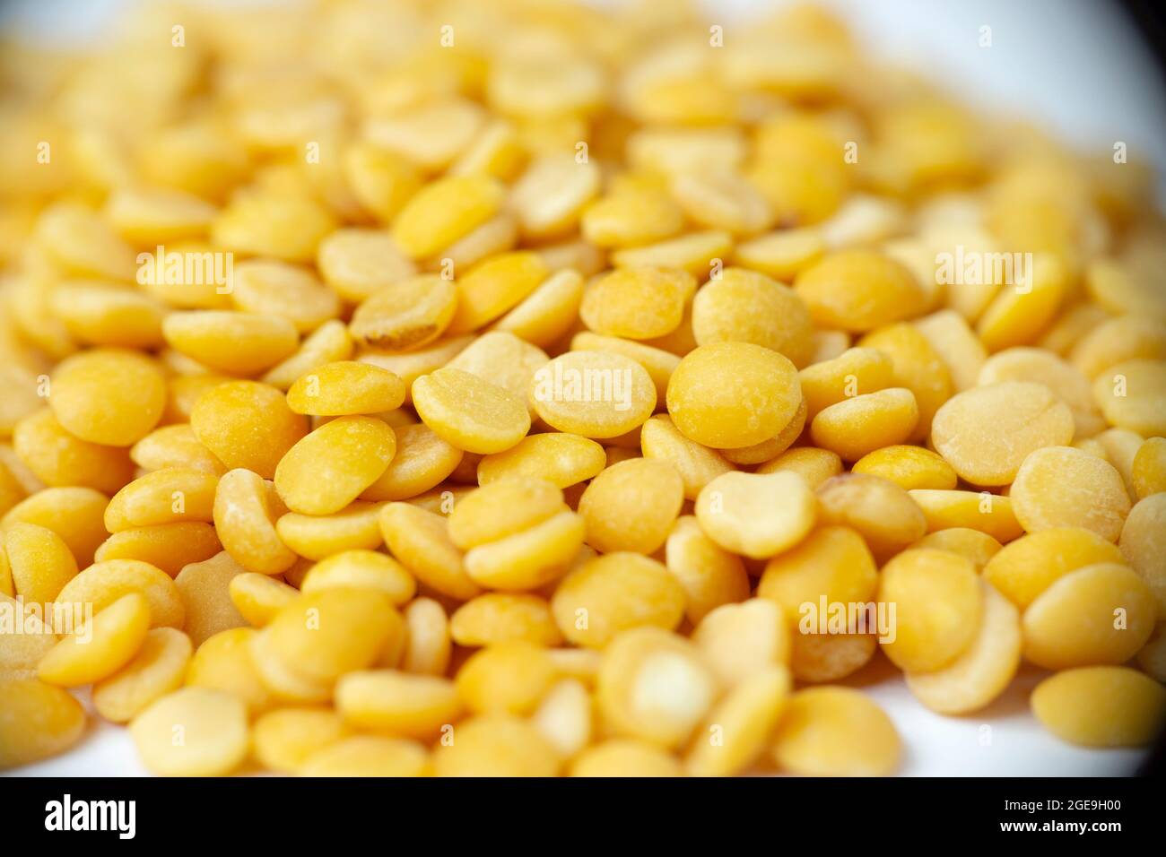 Cajanus cajan Banque de photographies et d’images à haute résolution ...