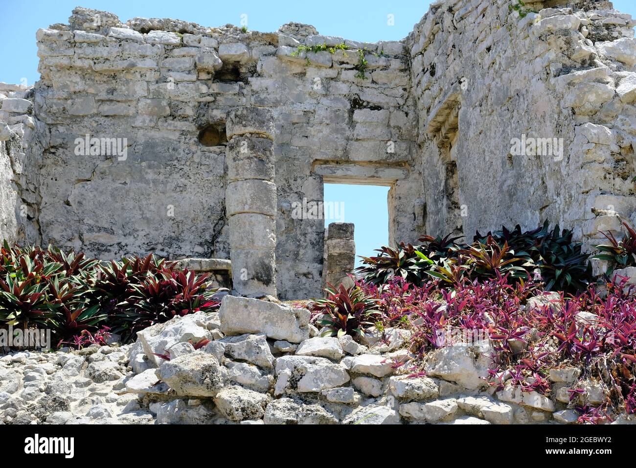 Parc national de Mexico Tulum - Parque Nacional Tulum - ruines mayas ...