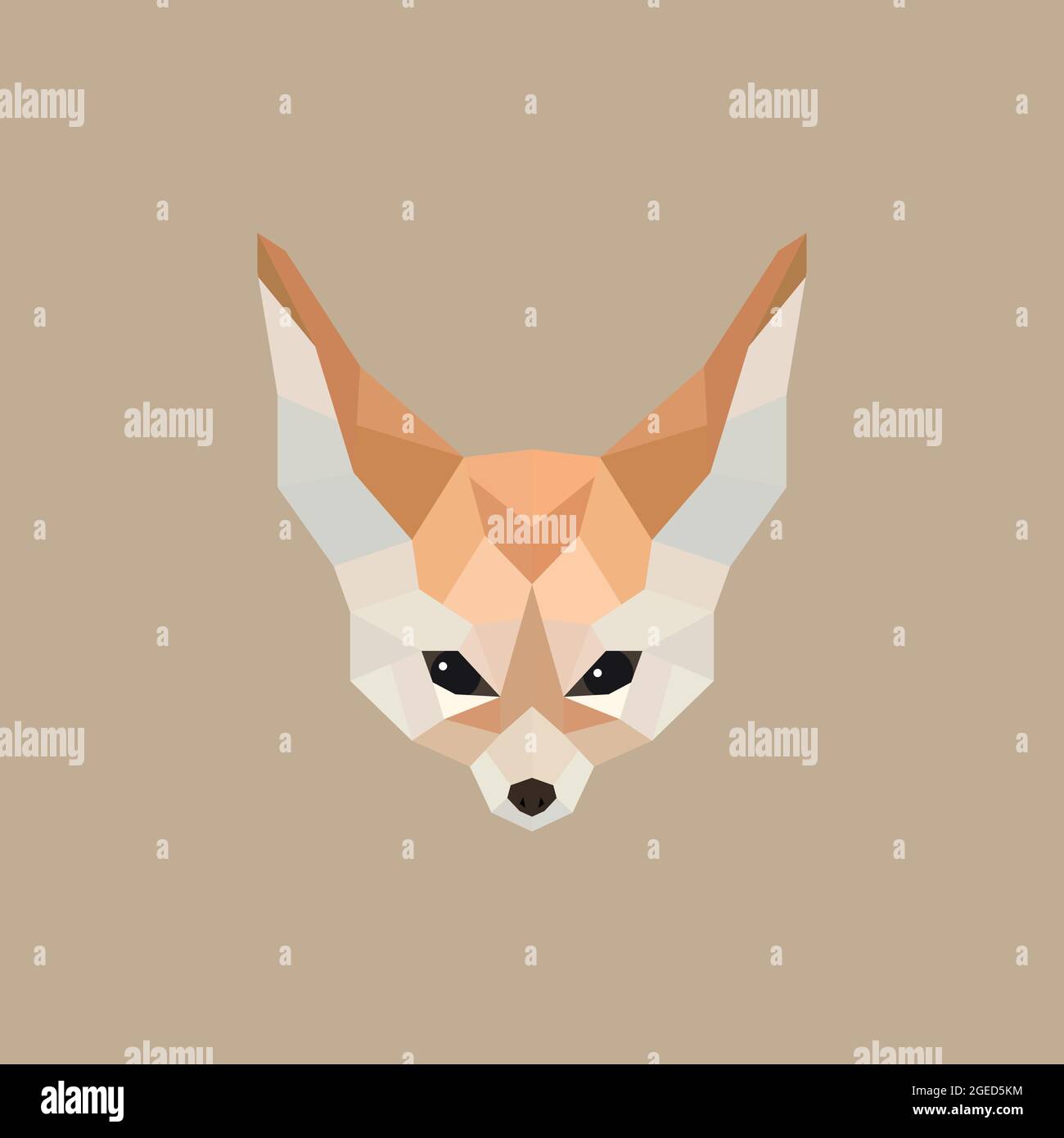 Renard fennec Banque d'images vectorielles - Alamy