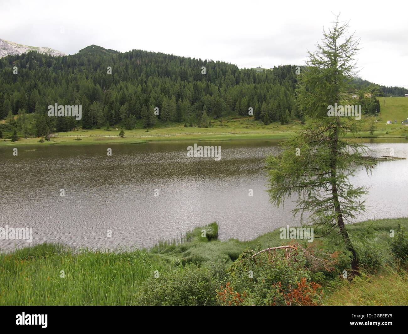 Région friuli venezia giulia Banque de photographies et d’images à ...