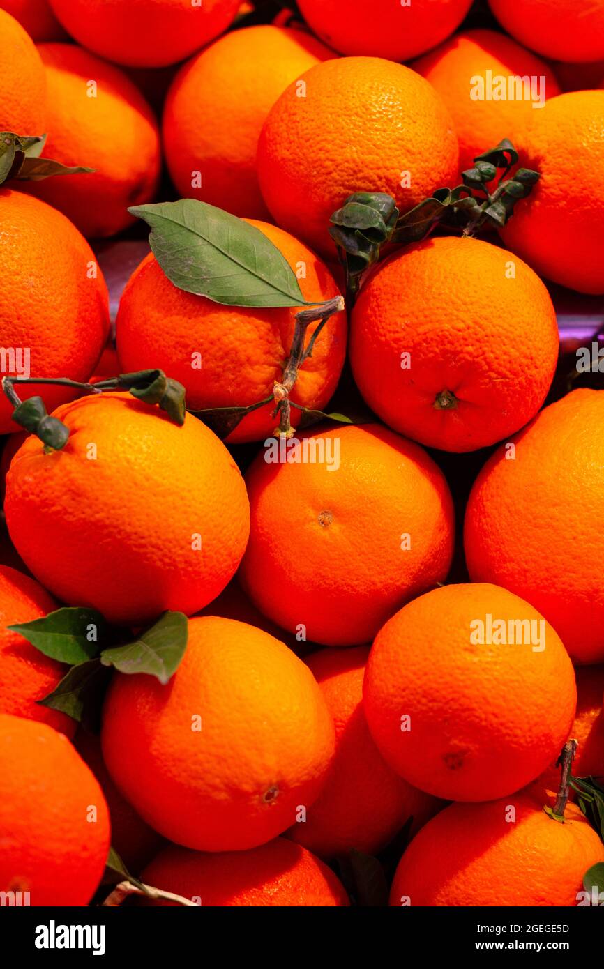 Valencia orange fruit Banque de photographies et d’images à haute ...