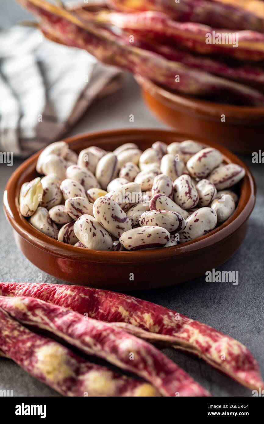 Gousses de haricots borlotti Banque de photographies et d’images à ...