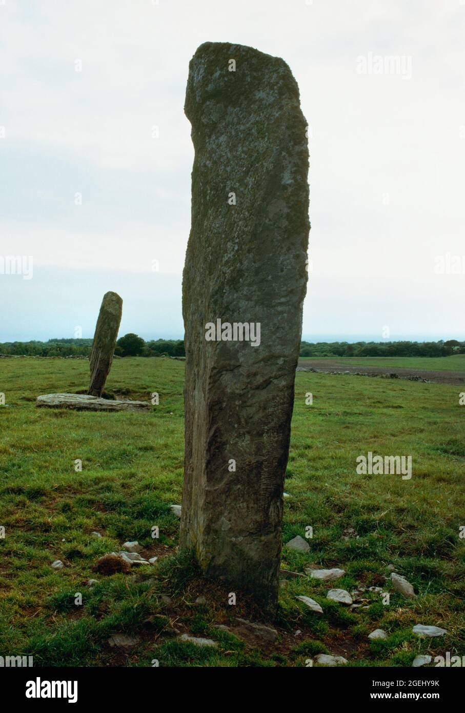 Drumtroddan menhirs ecosse Banque de photographies et d’images à haute ...