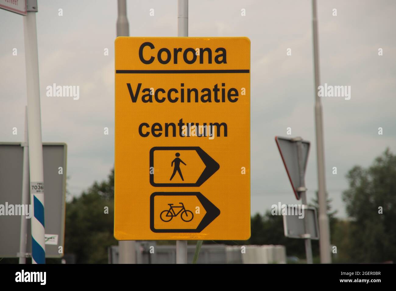 Kleine vink Banque de photographies et d’images à haute résolution - Alamy