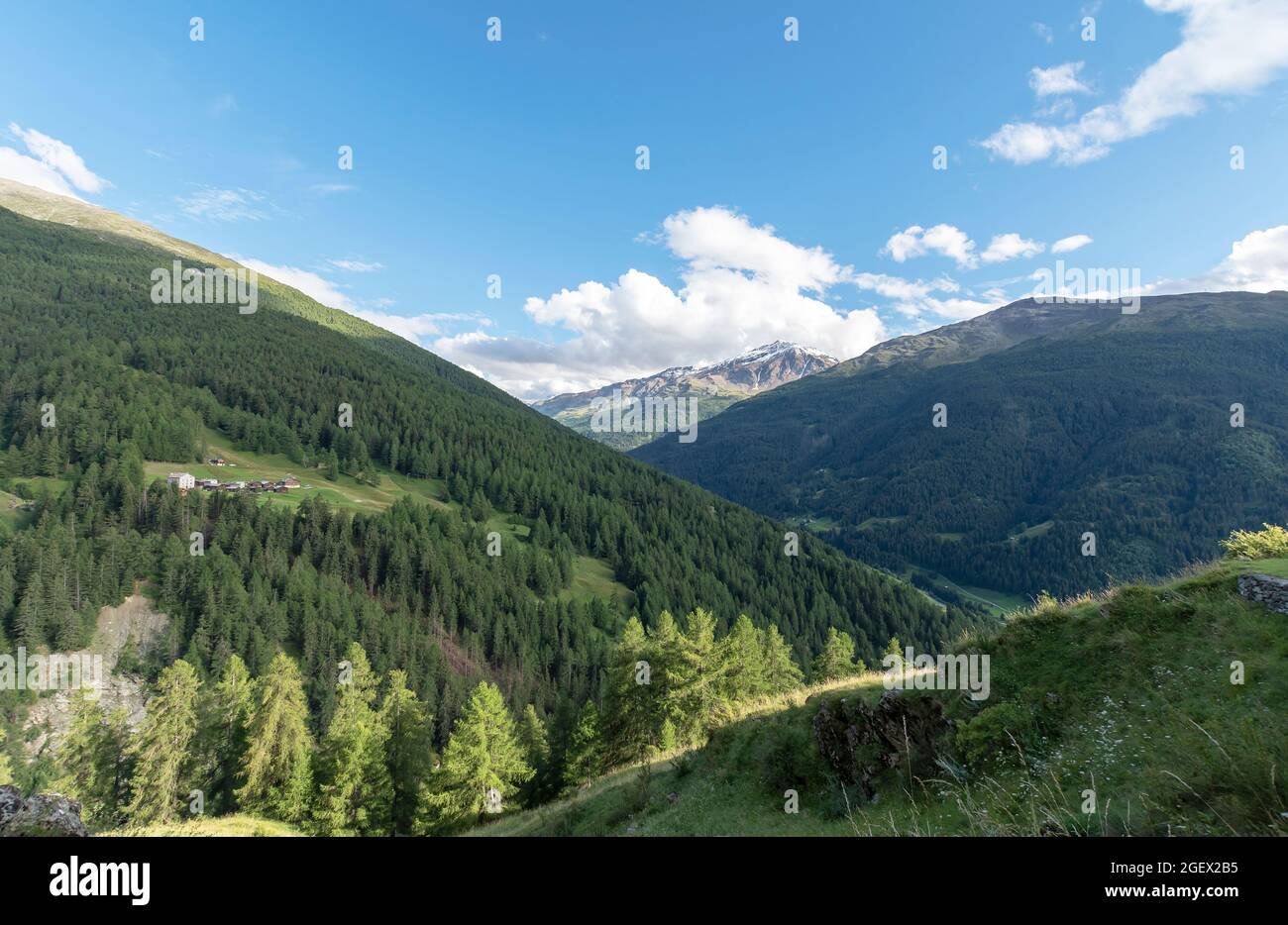 Val zebru Banque de photographies et d’images à haute résolution - Alamy