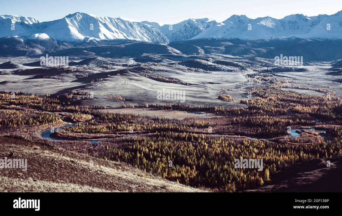 Foret taiga république altaï Banque de photographies et d’images à ...