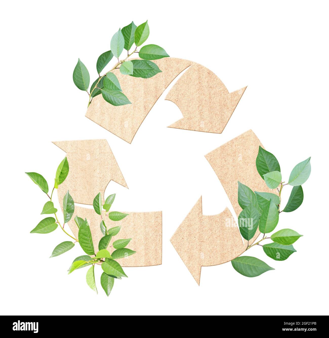 Les flèches en carton recyclent le symbole et les feuilles vertes ...