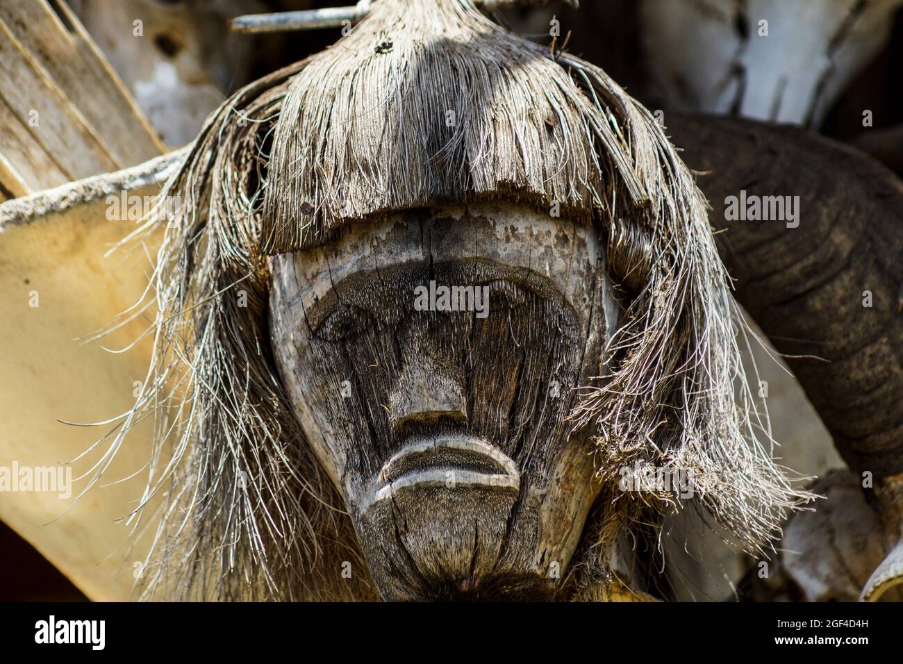 Visage De Noix De Coco Banque d'image et photos - Alamy