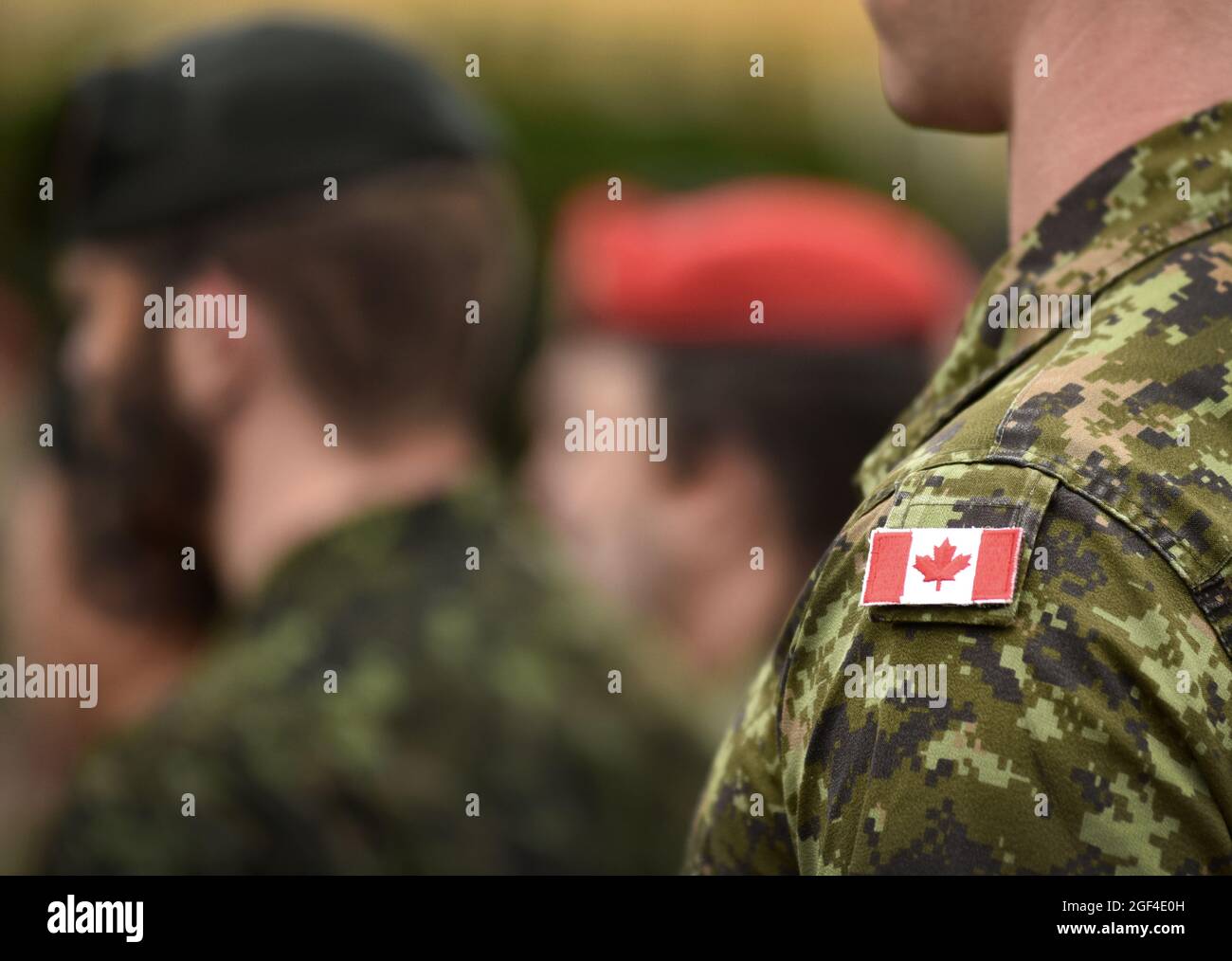 Drapeau du Canada sur l'uniforme militaire. Soldats canadiens. Armée du ...