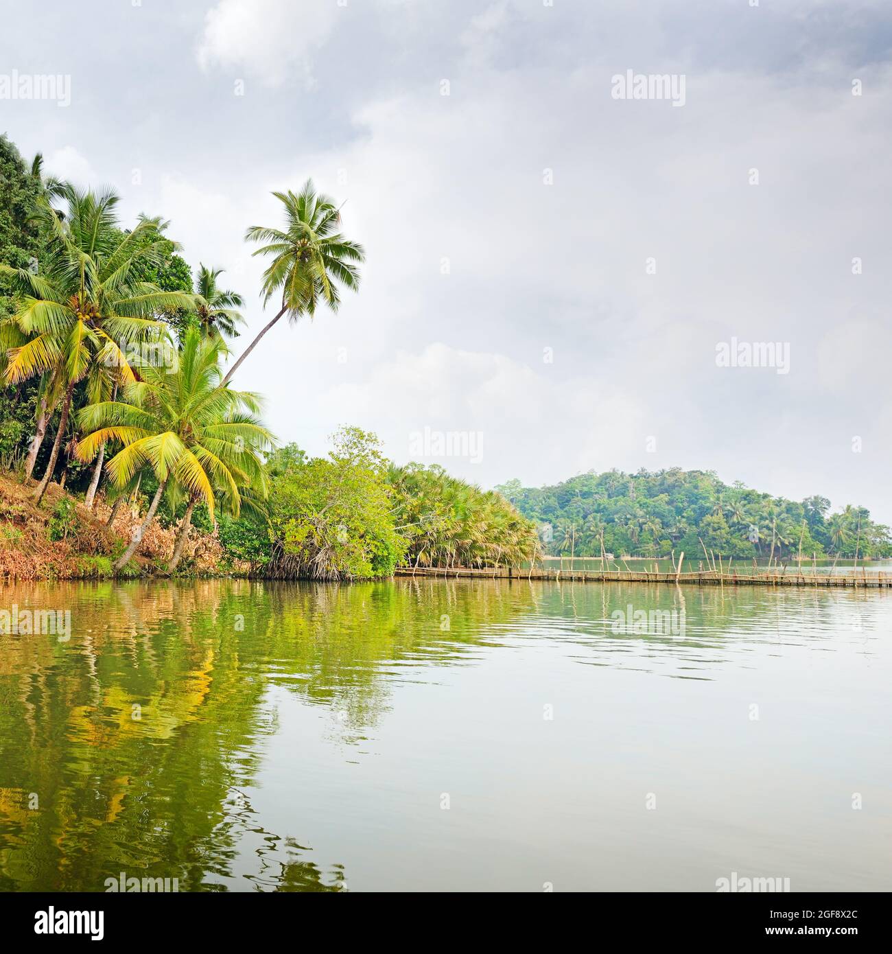 Berge fleuve jungle Banque de photographies et d’images à haute ...