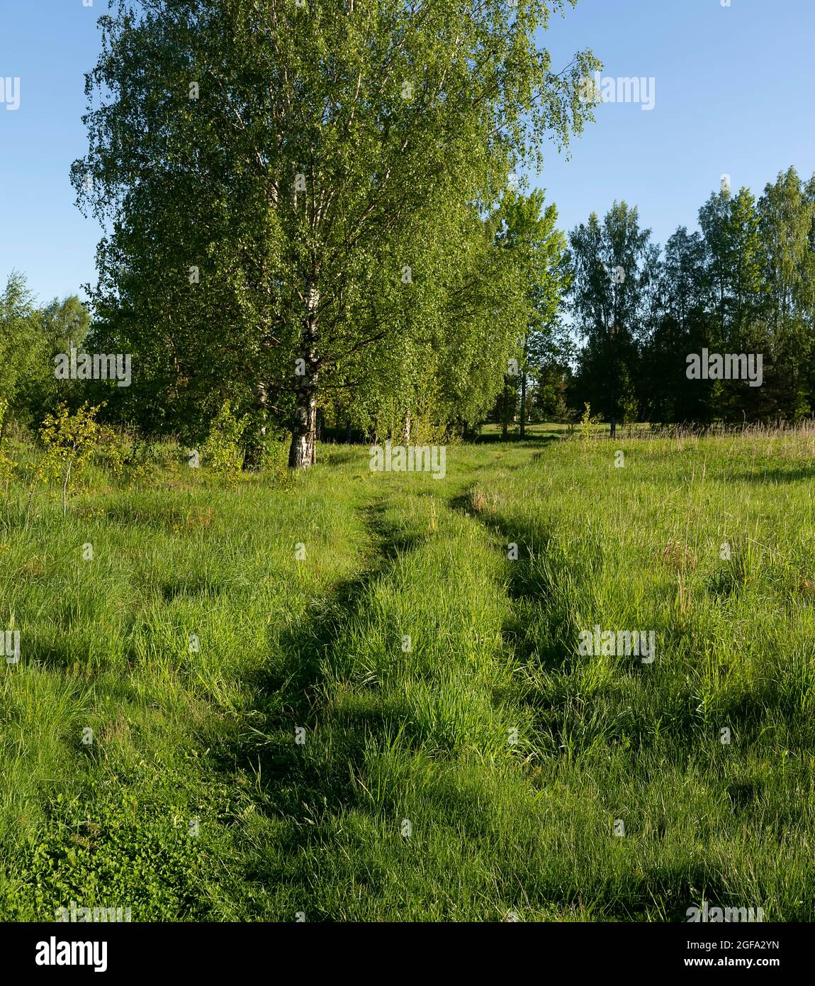 Kirovsky district soviet Banque de photographies et d’images à haute ...