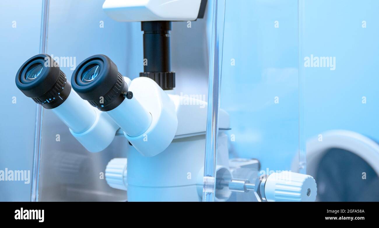 Oculaires d'un microscope à lumière ou fluorescent dans un ...