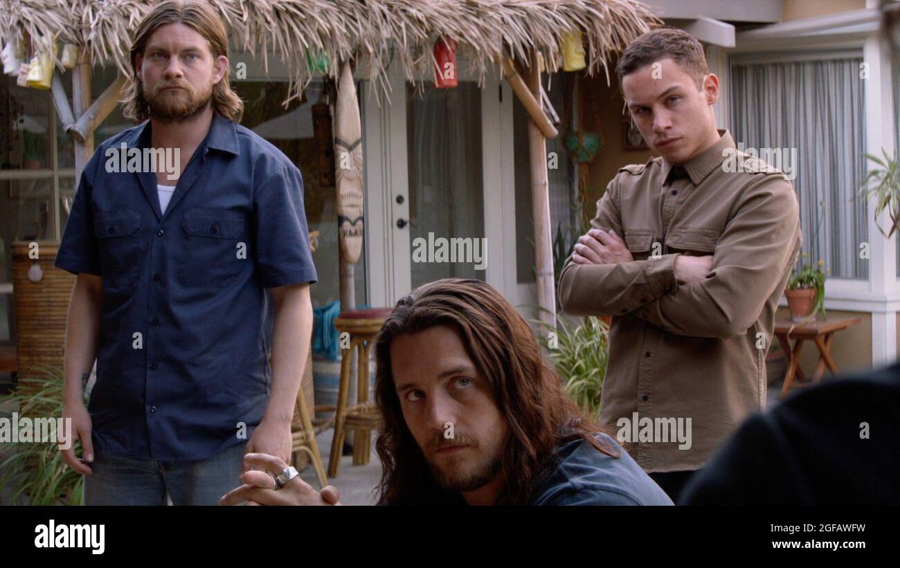 ROYAUME DES ANIMAUX, de gauche à droite : Jake Wezy, Ben Robson, Finn ...