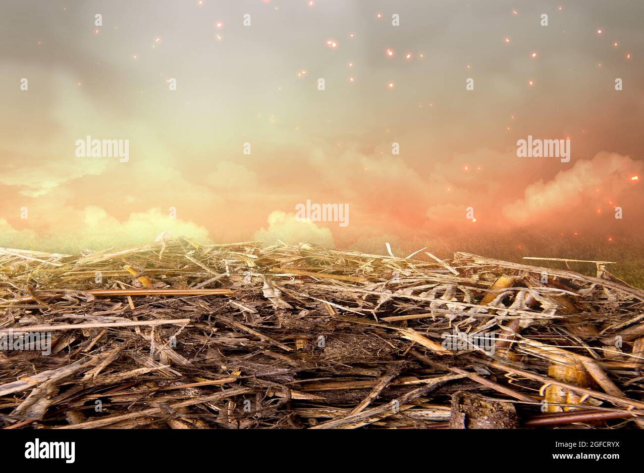 La fumée sur le sol Banque de photographies et d’images à haute ...