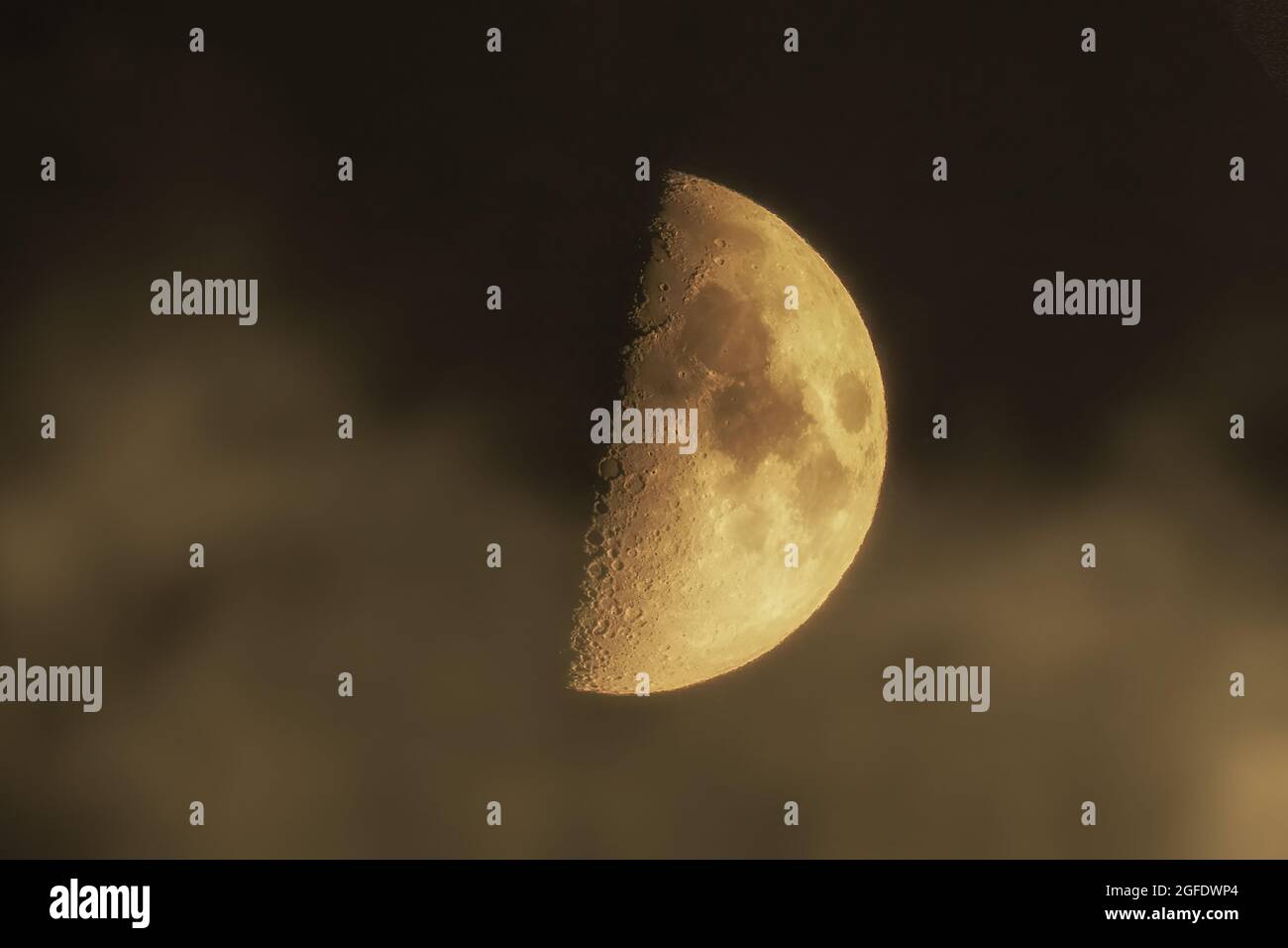 Feuille de demi lune Banque de photographies et d’images à haute ...