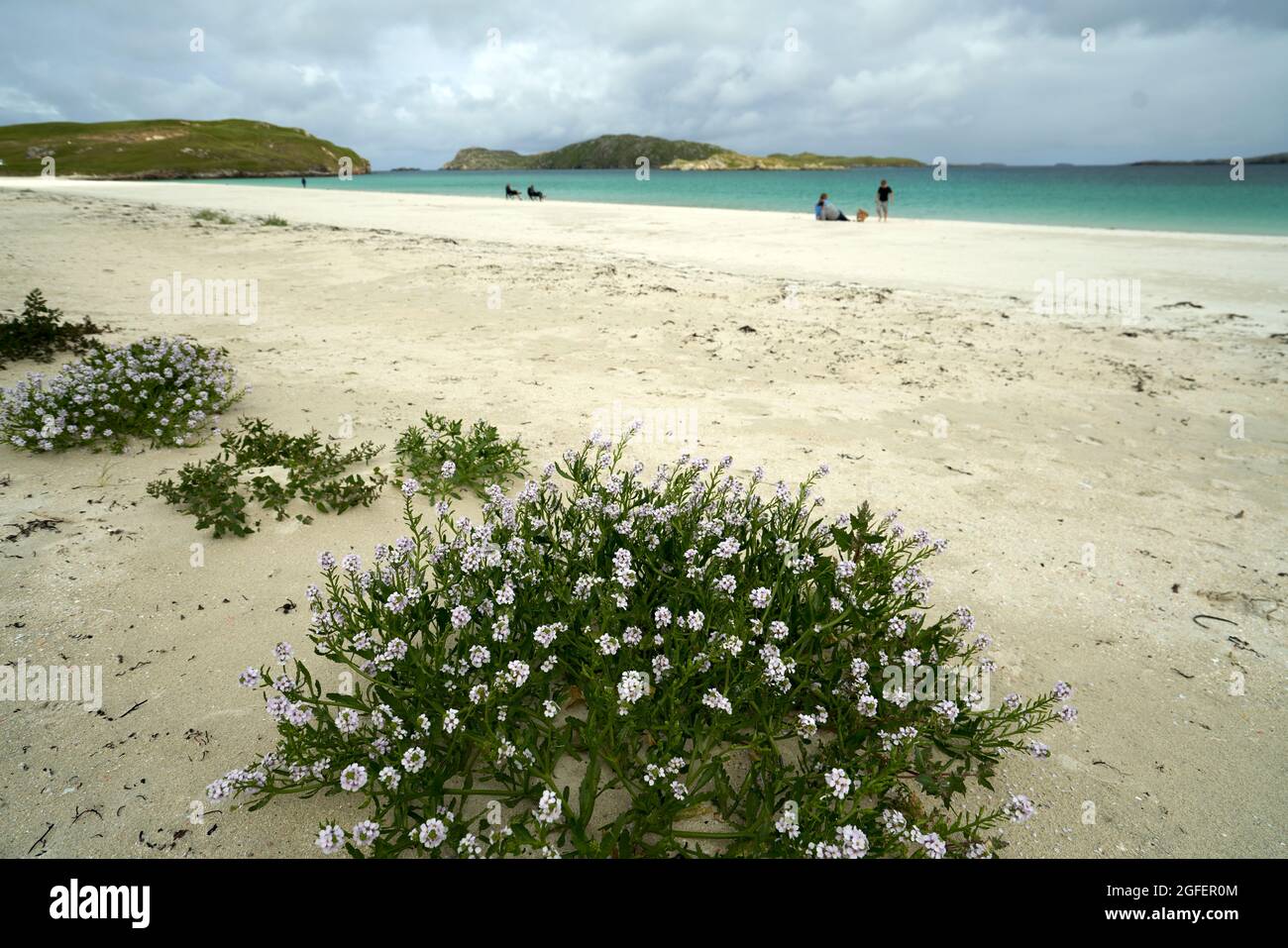 La plage de Reef dans l'île de Lewis avec la fusée de mer en premier ...