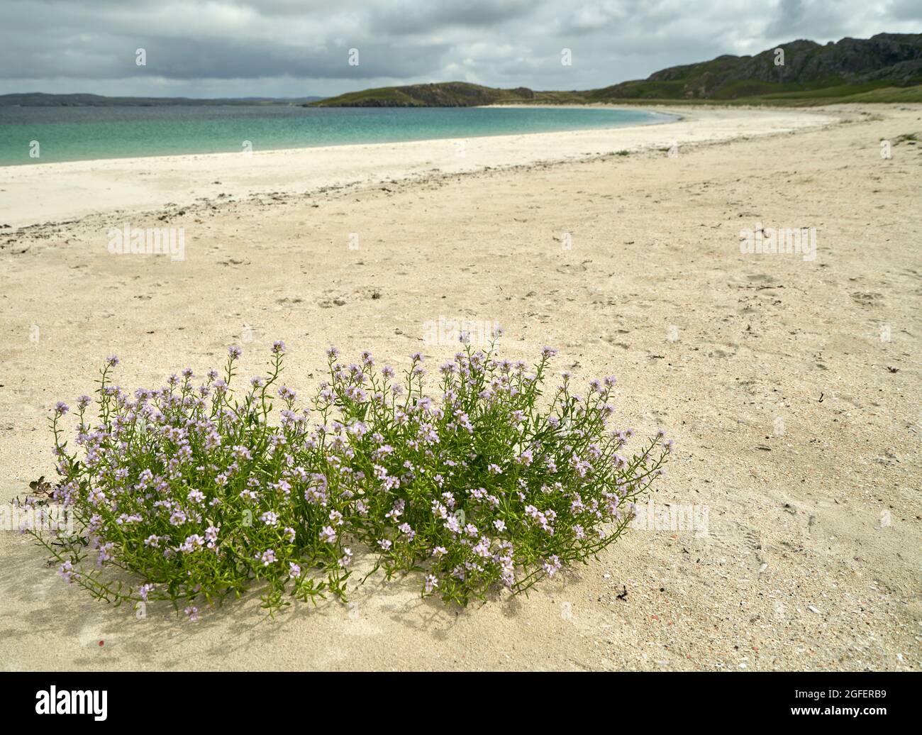 La plage de Reef dans l'île de Lewis avec la fusée de mer en premier ...