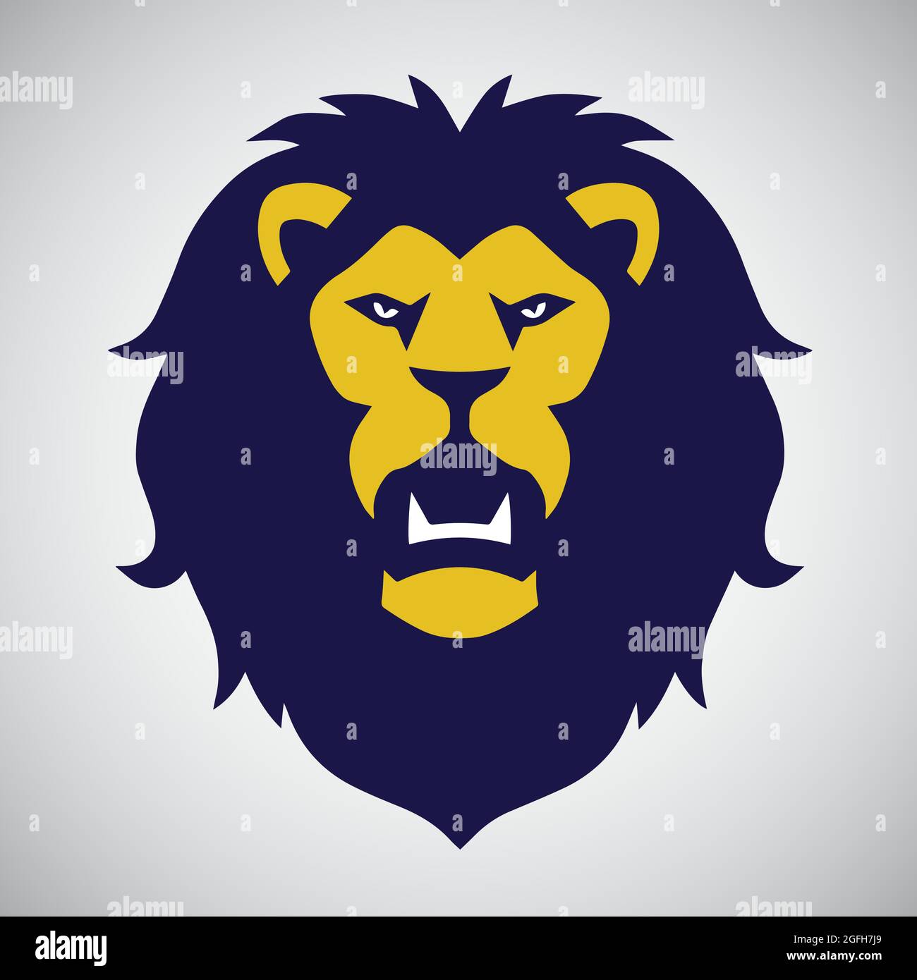 Méchant lion Banque de photographies et d’images à haute résolution - Alamy