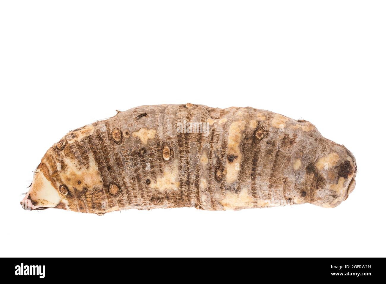 Racine de tubercule Banque d'images détourées - Alamy