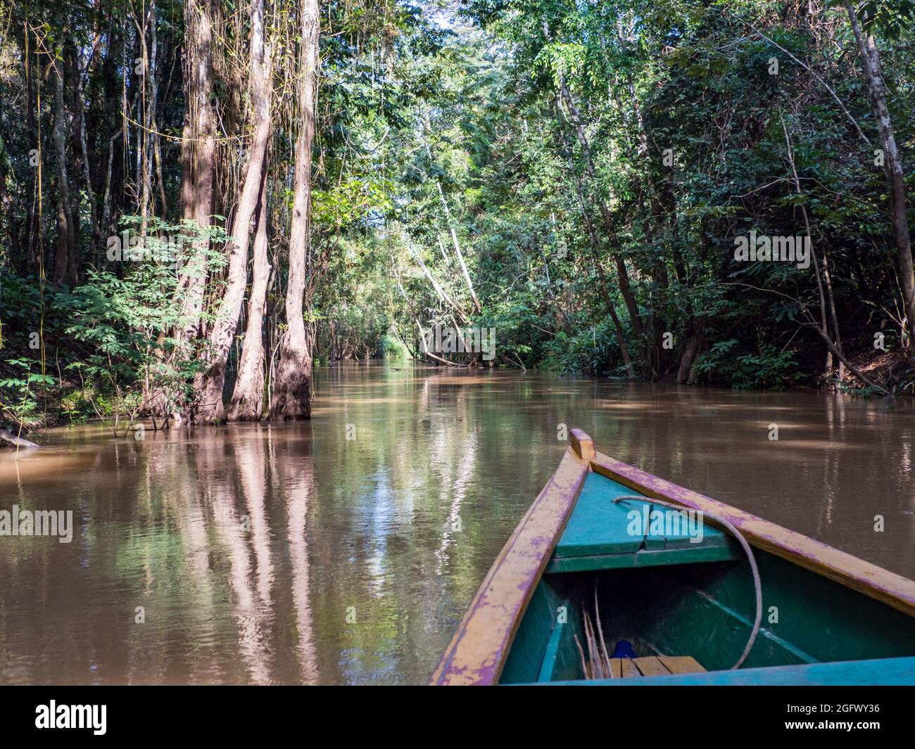 Vue depuis le bateau en bois sur le mur de forêt tropicale verte dans ...