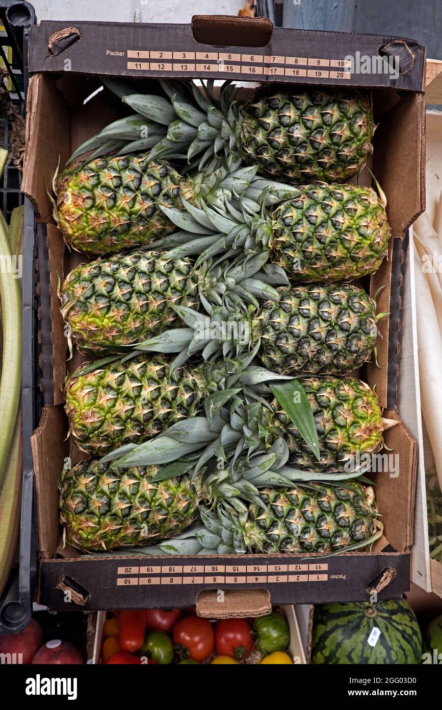 Les ananas Banque de photographies et d’images à haute résolution - Alamy