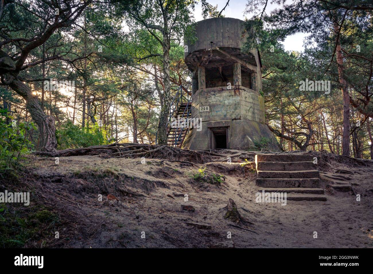 Ancien bunker d'infanterie en béton dans les bois de Hel, Pologne ...