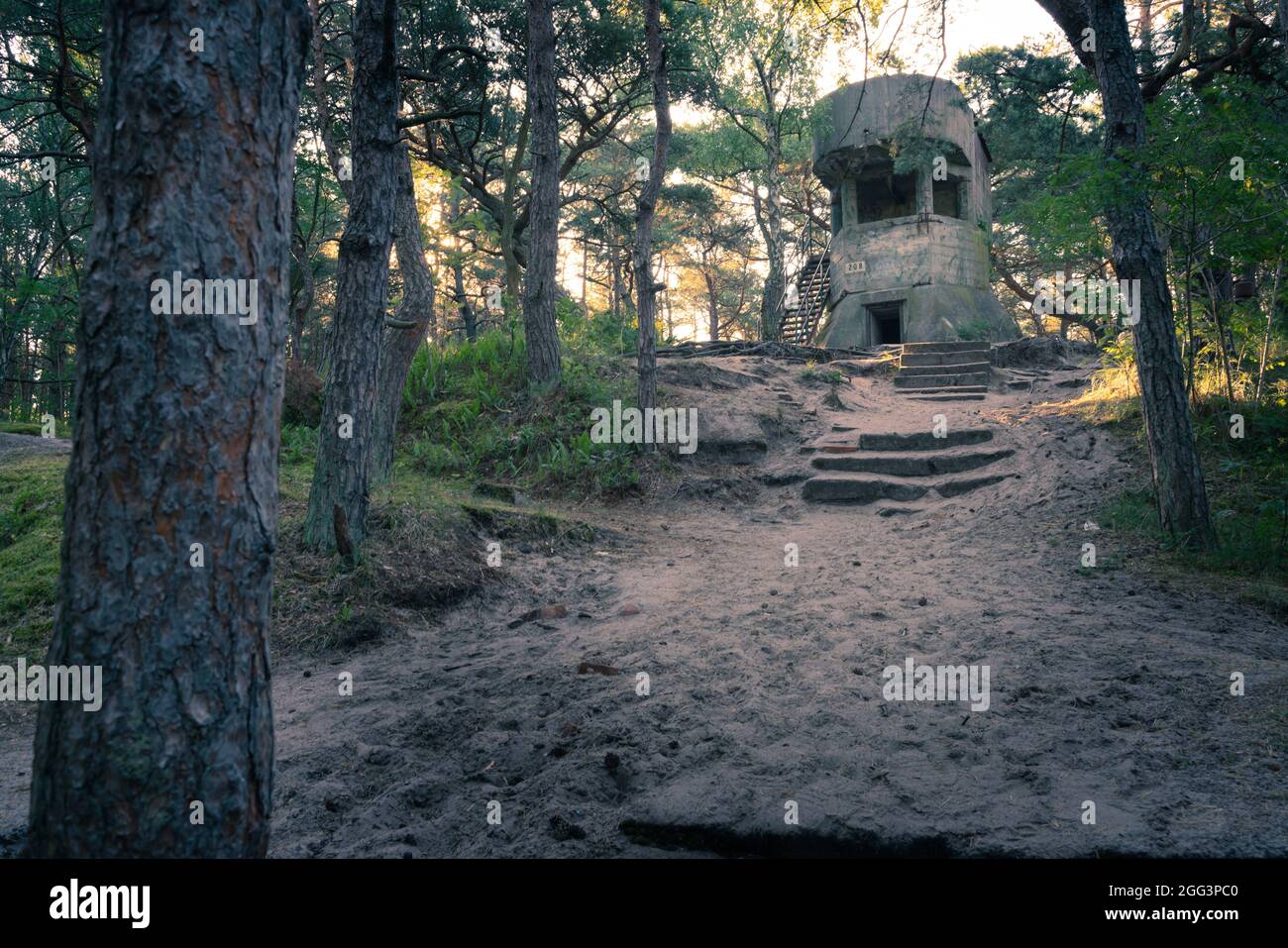 Ancien bunker d'infanterie en béton dans les bois de Hel, Pologne ...
